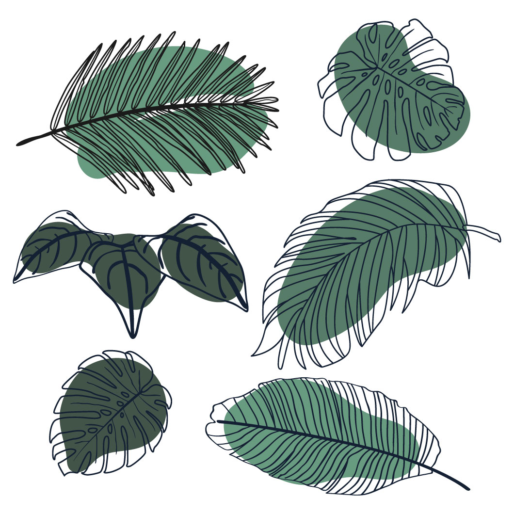 Tropical Leaves Boho SVG Vector art - JDQCreative